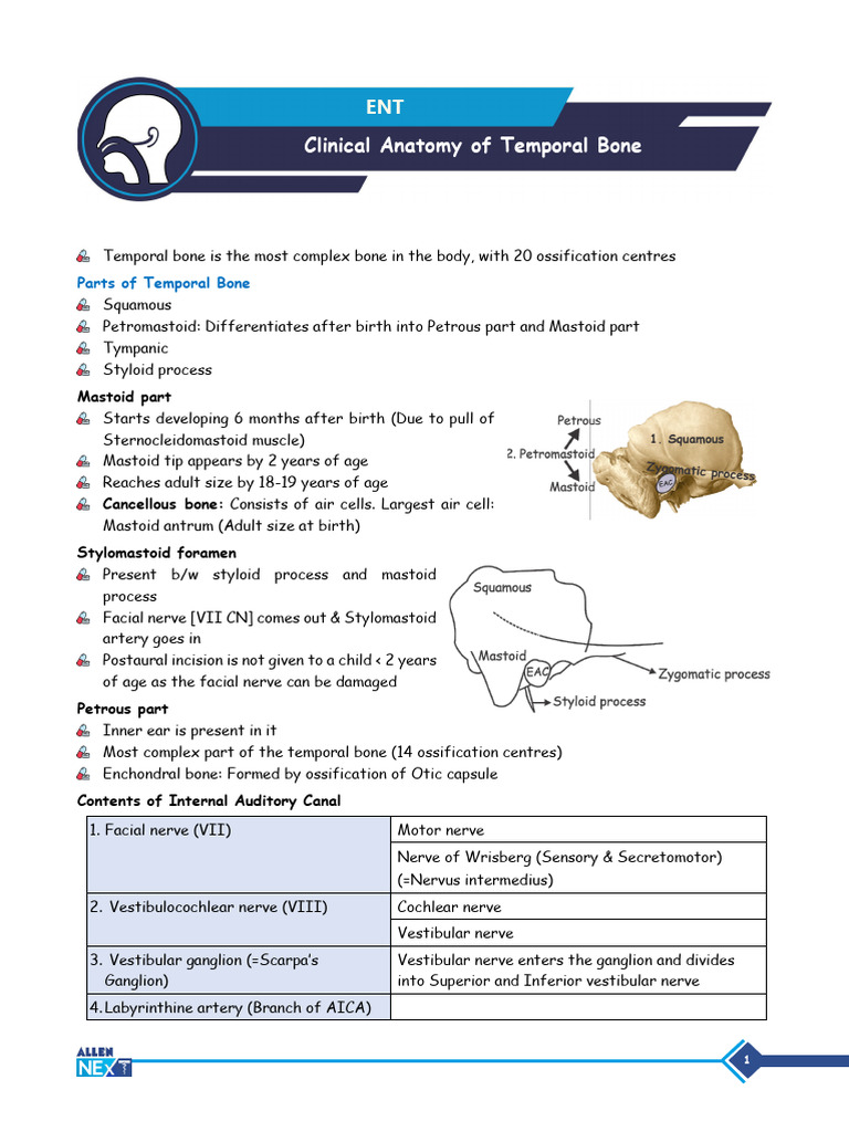 Clinical Anatomy of Temporal Bone | PDF