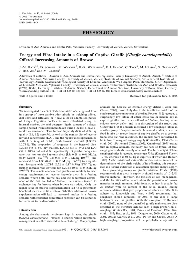 Giraffe Diet: Energy & Fibre Intake Study | PDF | Giraffe | Hay