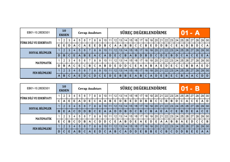 10 SINIF EKSEN DES 01 (EB01-1026DES01) CA (2)_251015_100637 | PDF