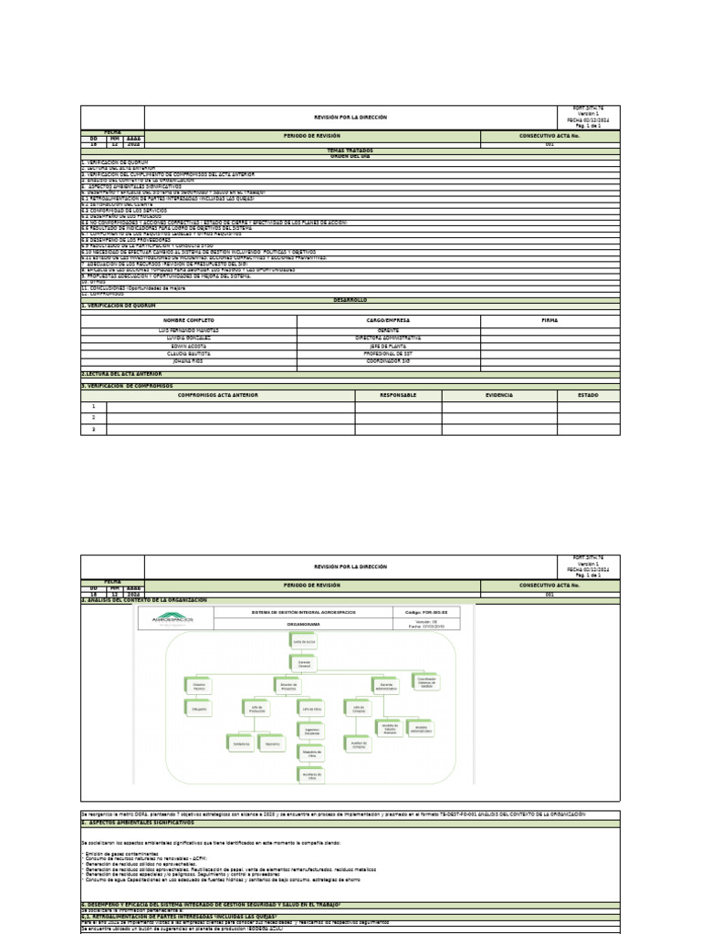 Revision Por La Alta Direccion | PDF | Residuos | Business