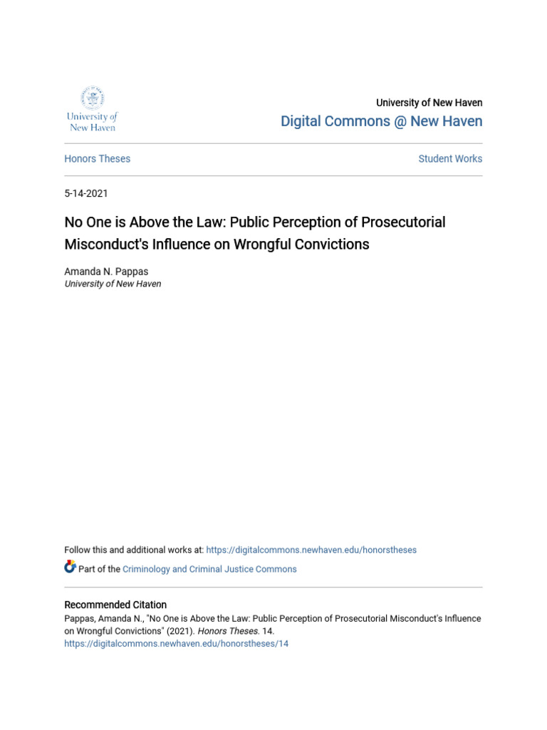 No One Is Above The Law - Public Perception of Prosecutorial Misco ...