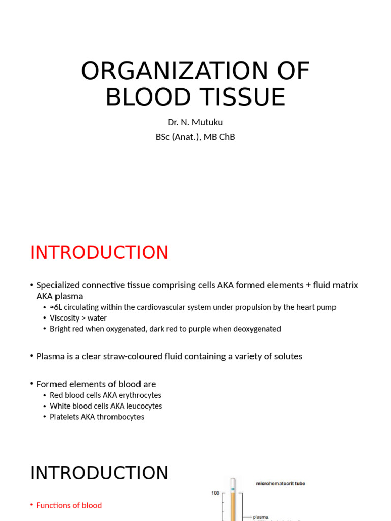 Blood Tissue Organization and Functions | PDF | Lymphocyte | T Cell
