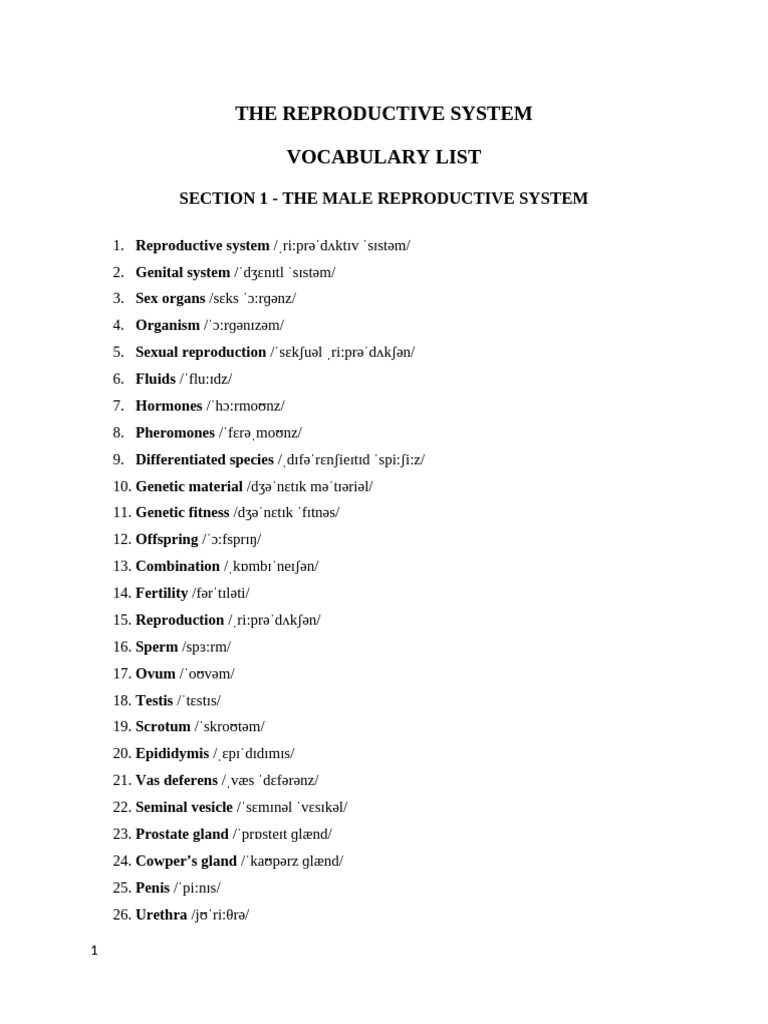 The Male Reproductive System - Vocabulary Lsit | PDF