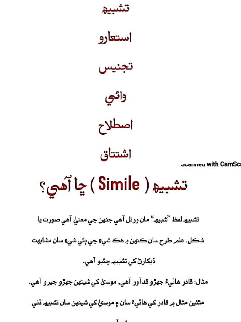Sindhi Grammar | PDF