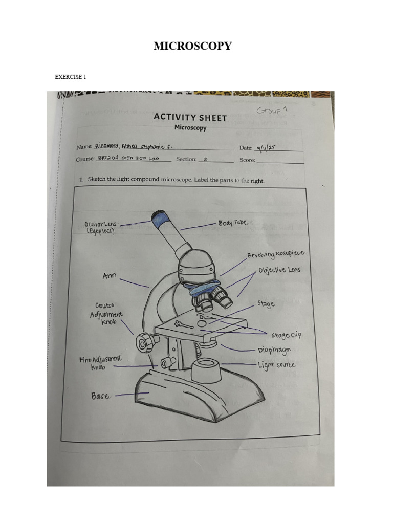 Ricamora - Bio1204 - Laboratory Worksheet For Microscopy, Animal Cell ...