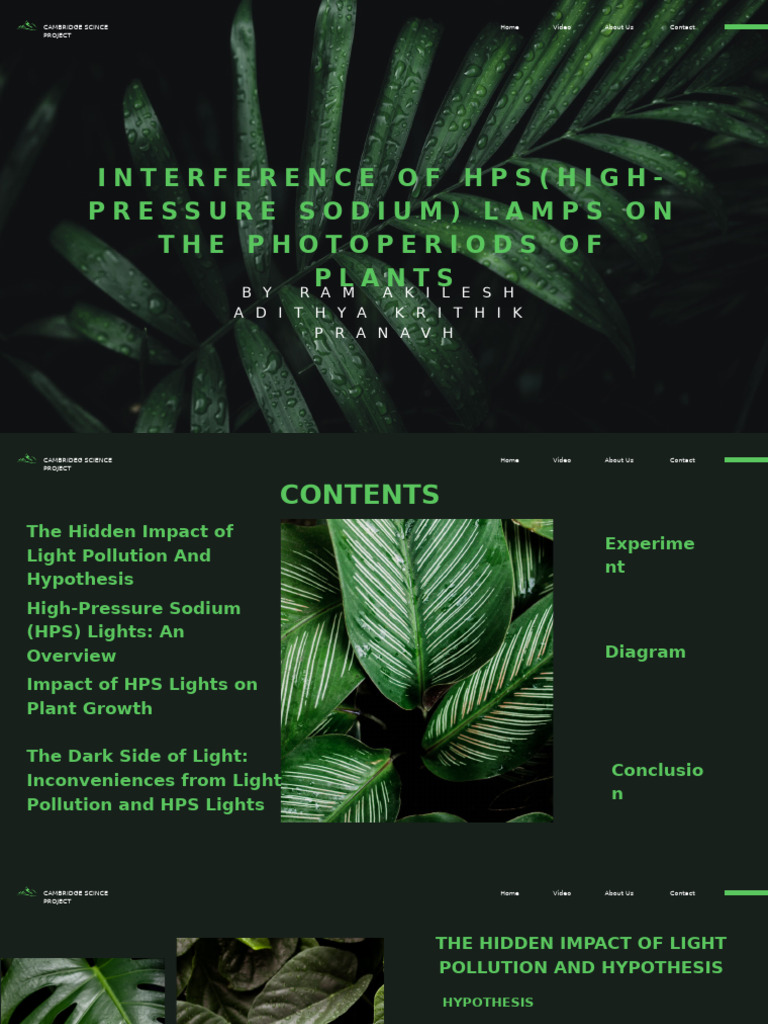 Cambrige Science Project Final # | PDF | Lighting | Plants