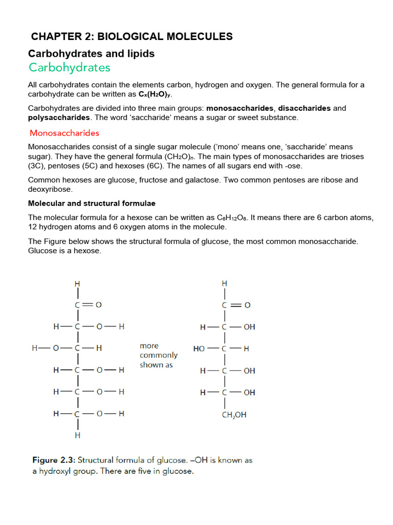 Chapter 2 Bio As A - Level Edited | PDF | Carbohydrates | Fatty Acid