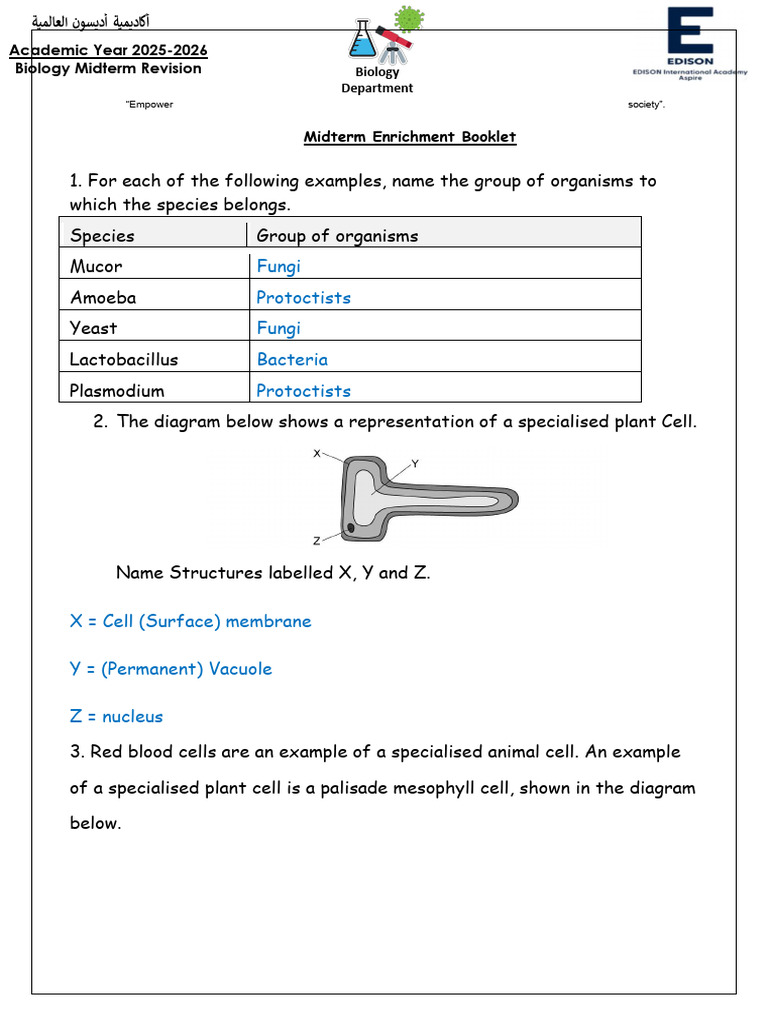 Revision-Biology-Edexcel-Midterm - 2025-2026-MS | PDF | Cell (Biology ...