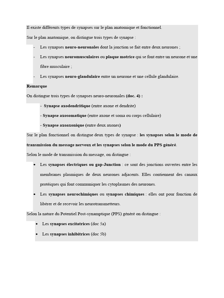 Types de synapses : anatomie et fonction | PDF