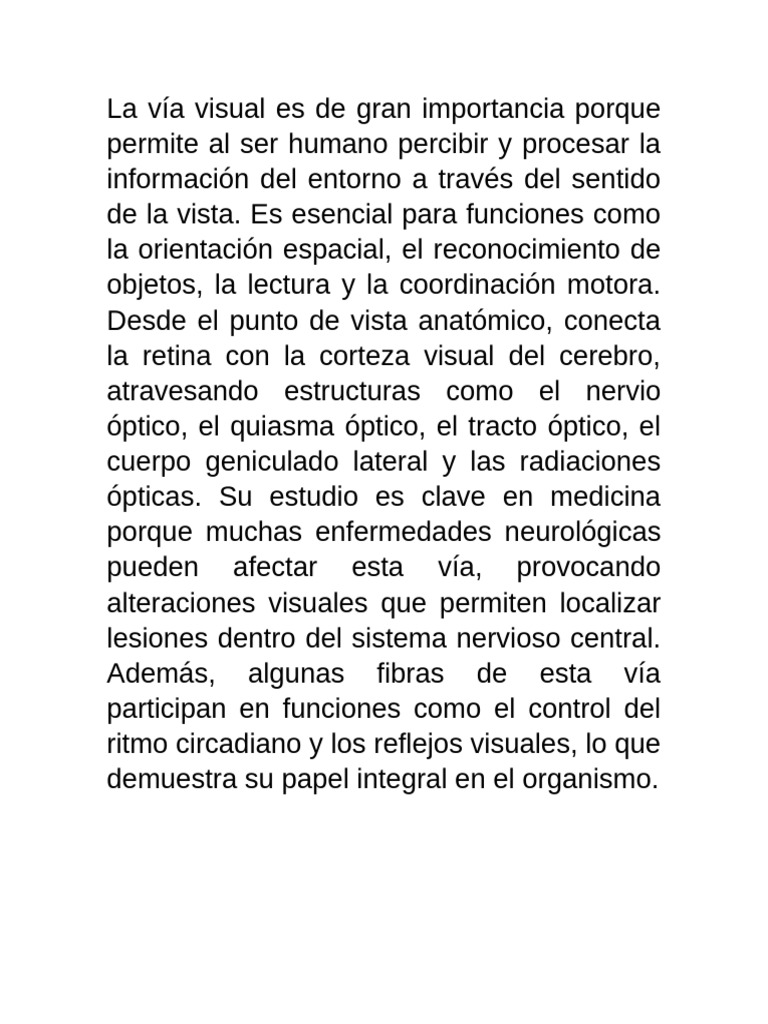 Importancia de la Vía Visual en Medicina | PDF