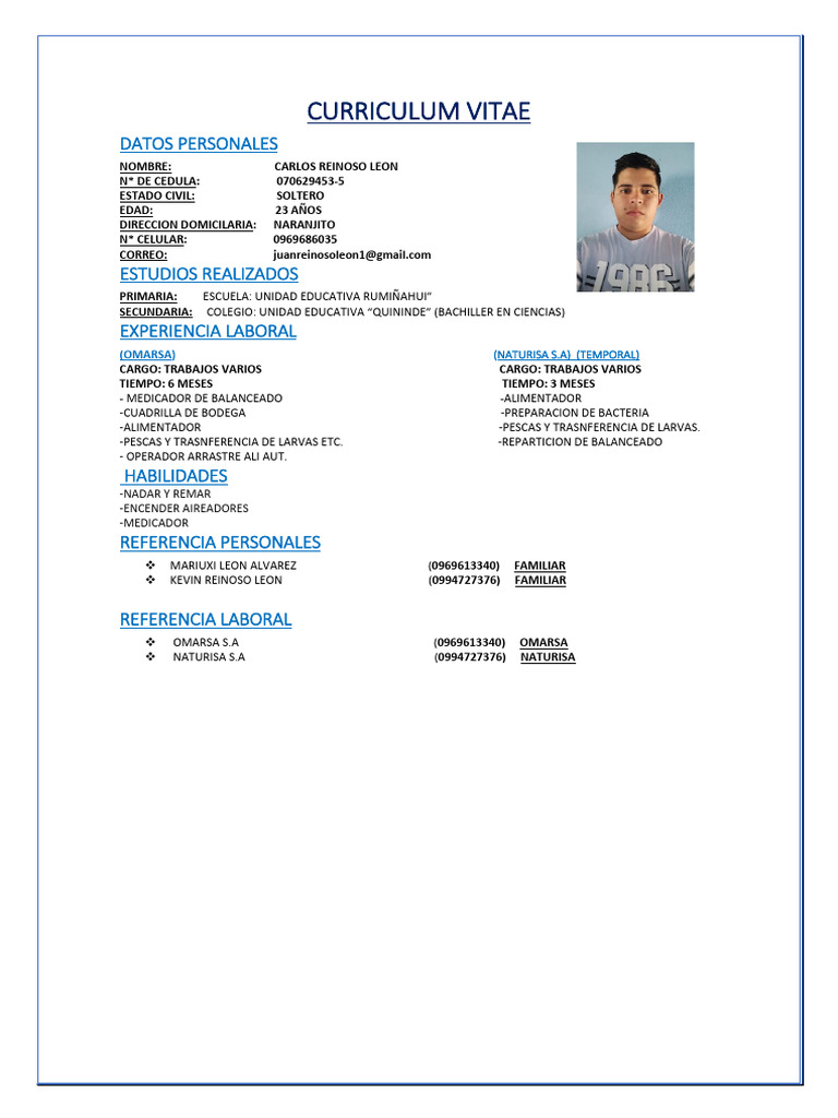 Curriculum Vitae de Carlos Reinoso | PDF
