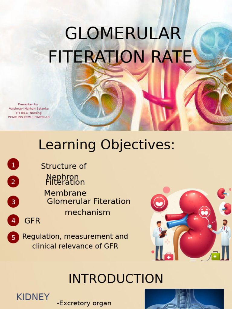 Glomerular Filtration Rate | PDF | Kidney | Medical Specialties