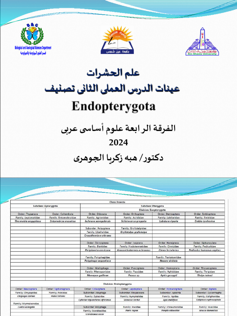 Taxonomy Practical Section (Endopterygota) | PDF