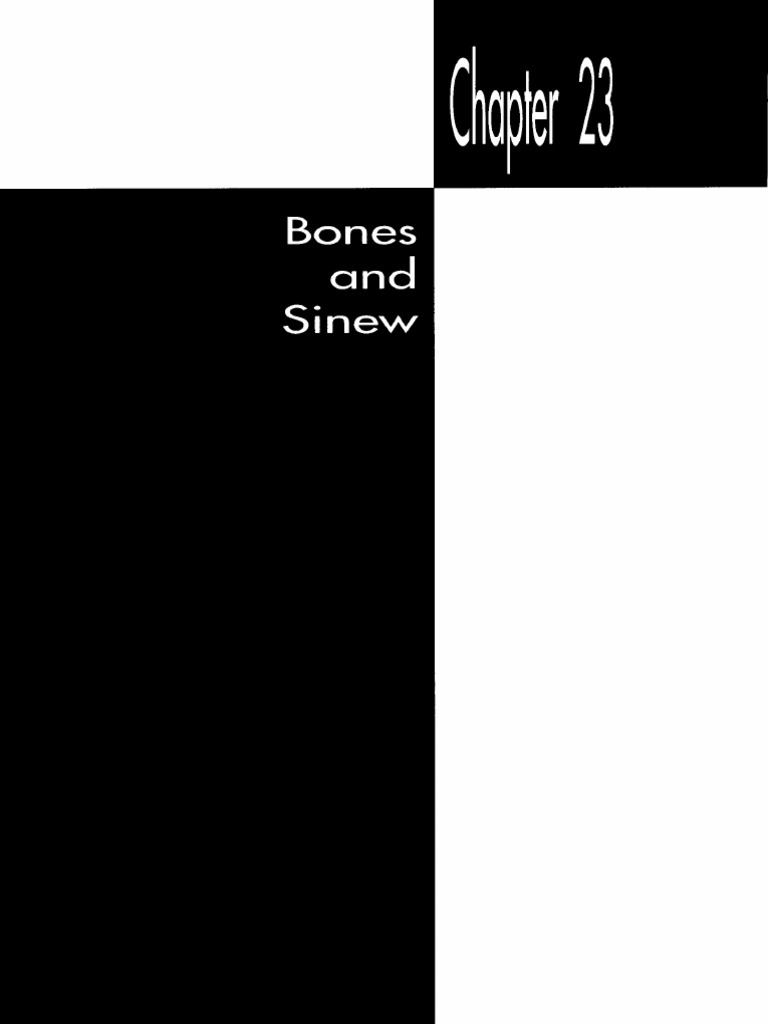 Graphics Programming Black Book-gpbb23 | PDF | Computer Architecture ...