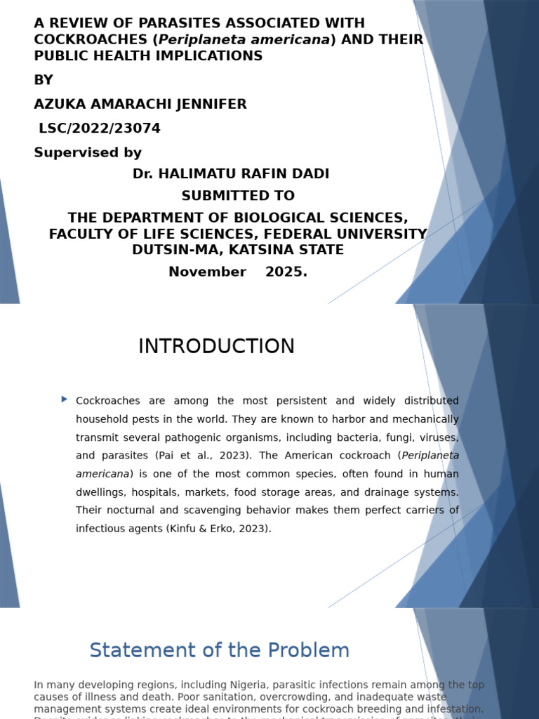 amarachi Jennifer slides-1 review on cockroach periplaneta american and ...