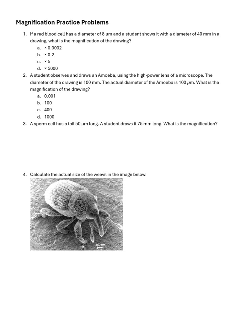 Magnification Calculation Exercises | PDF