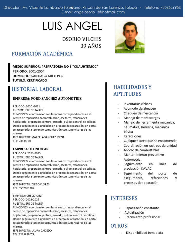 CV LUIS ANGEL (1) | PDF | Business
