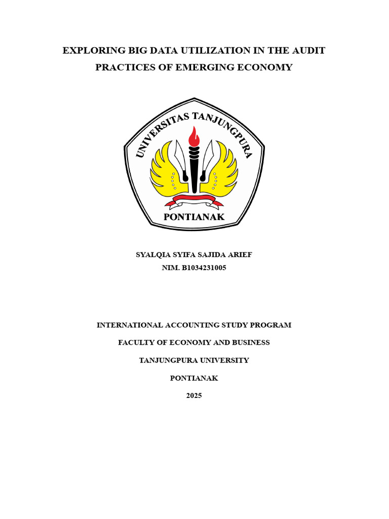 Exploring Big Data Utilization in the Audit Practices of Emerging Economies | PDF | Big Data | Audit
