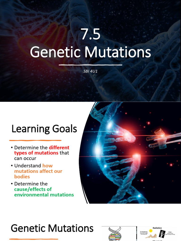 7.5 - Genetic Mutations | PDF | Mutation | Dna