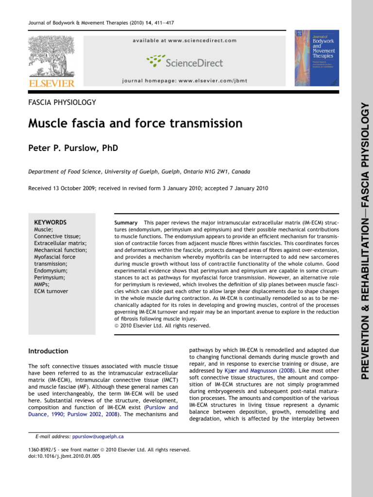 Muscle Fascia and Force Transmission 2010 | PDF | Skeletal Muscle | Tendon