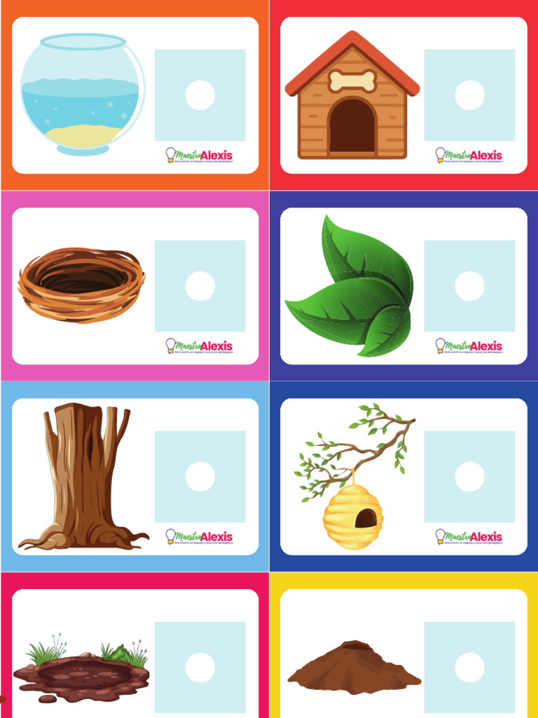 Tarjeta Casaanimal | PDF