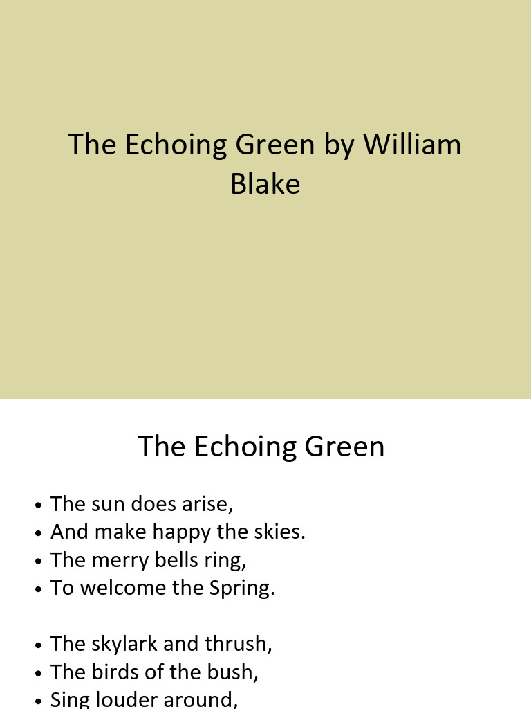 The Echoing Green Final Presentation PDF | PDF
