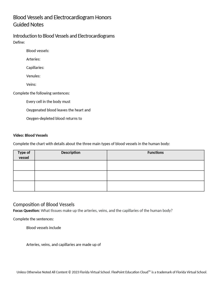 Guided Notes Blood Vessels and Electrocardiogram Honors | PDF | Artery ...