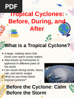 Types of Weather Disturbances Explained | PDF | Tropical Cyclones ...