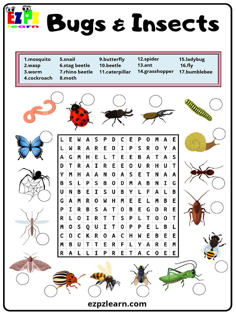 Bugs and Insects Word Search With Images 3 | PDF