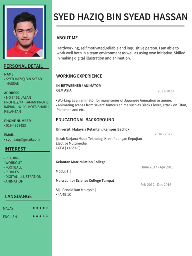 CV Resume English | PDF