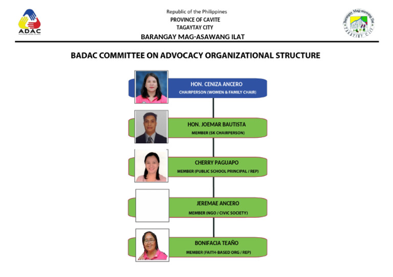 Badac Template Coa | PDF
