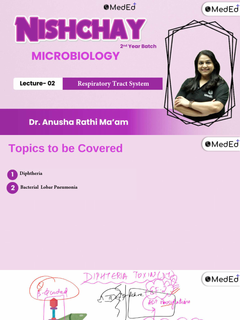 Respiratory Tract System 02 - Class Notes | PDF