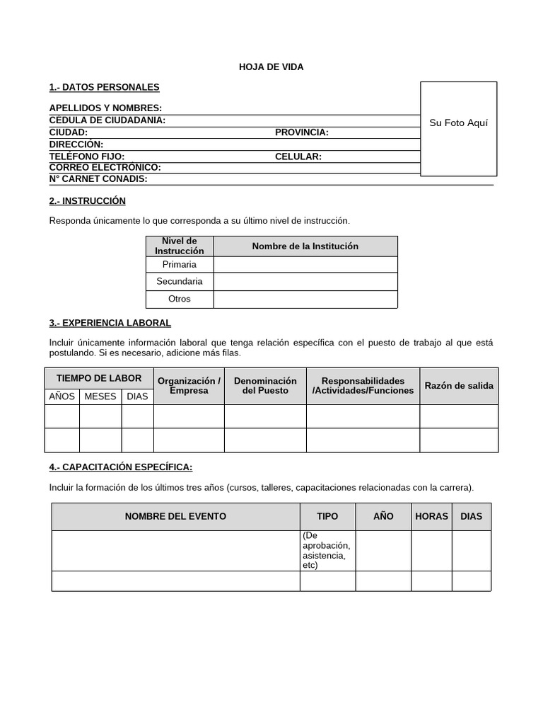 Plantilla de Hoja de Vida Profesional | PDF