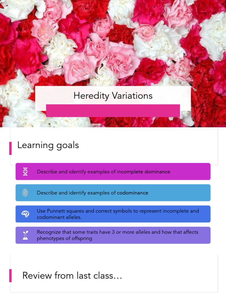 10-Heredity Variations-A | PDF | Dominance (Genetics) | Genotype