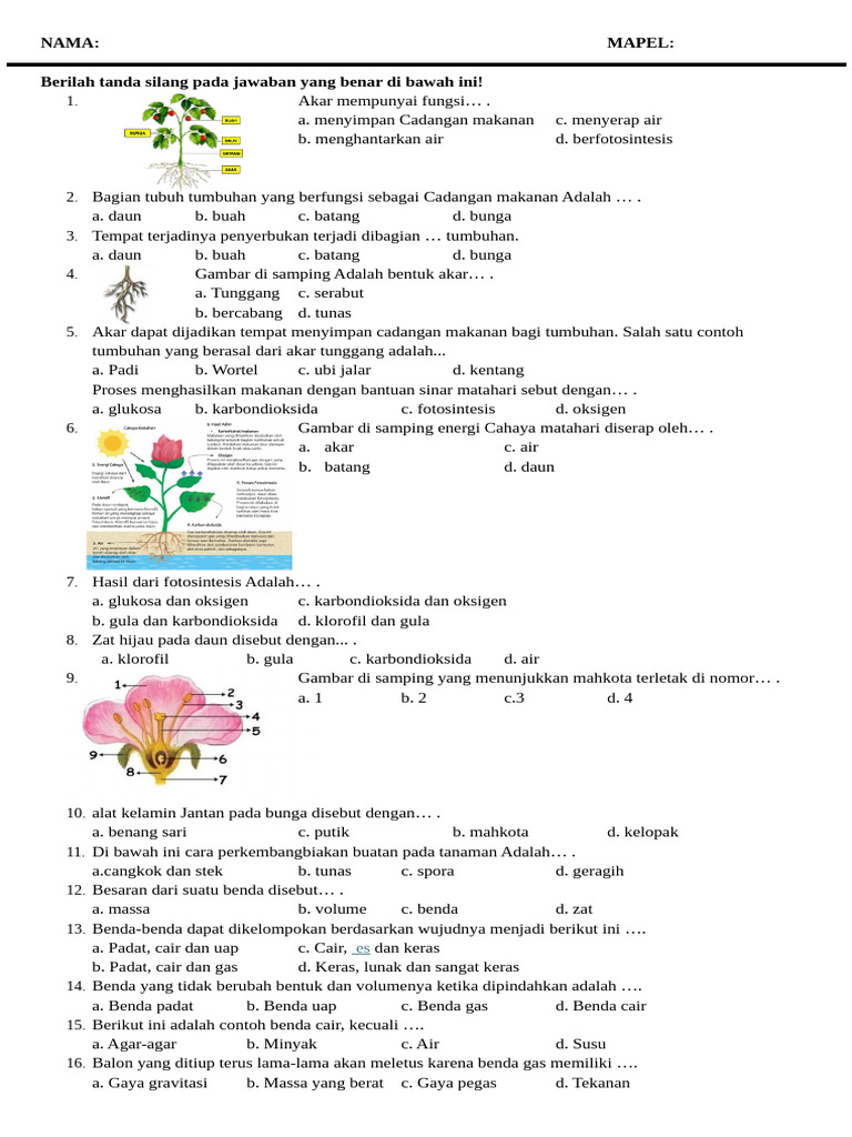 SOAL ULANGAN HARIAN IPAS KELAS 4 SEMESTER 1 | PDF