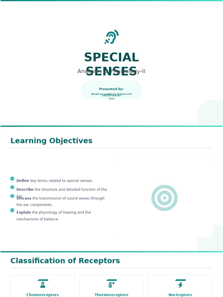 Special Senses - The Ear | PDF | Ear | Senses