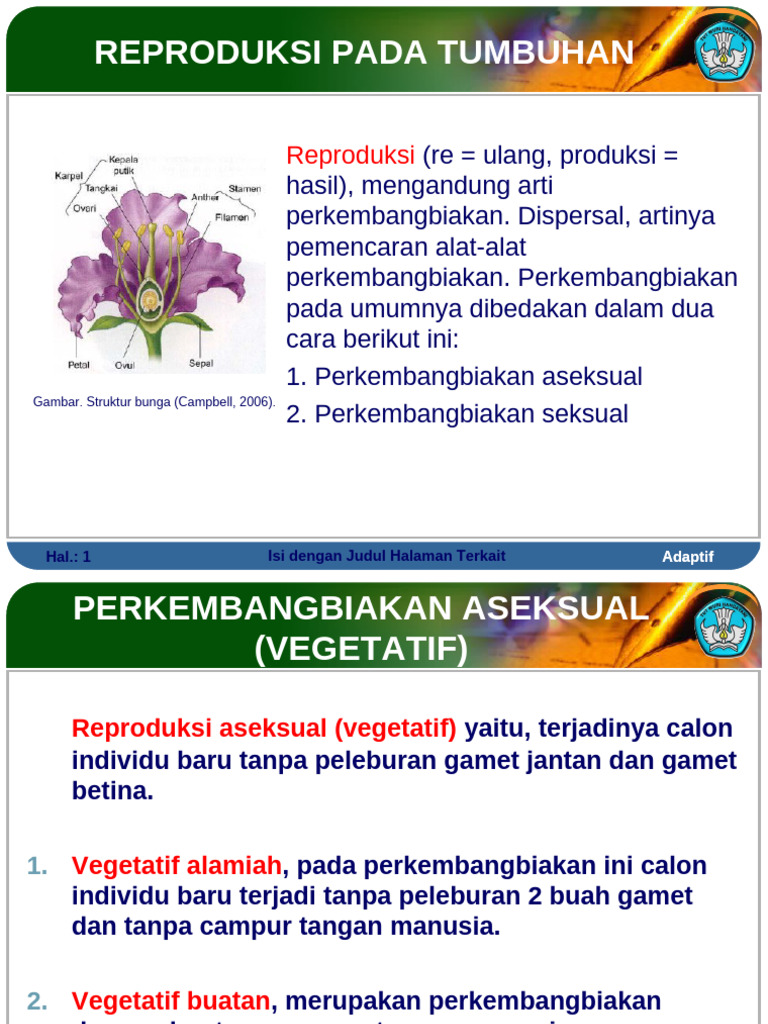 Pembuahan Ganda Pada Angiospermae | PDF