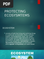 Year 8 Ecosystems Revision Guide | PDF | Rainforest | Coral Reef