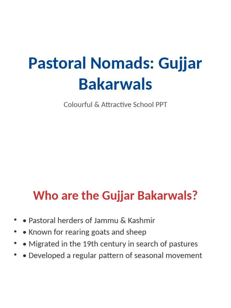 Colourful Gujjar Bakarwals | PDF