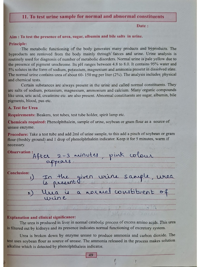 Q.1. Urine Analysis | PDF