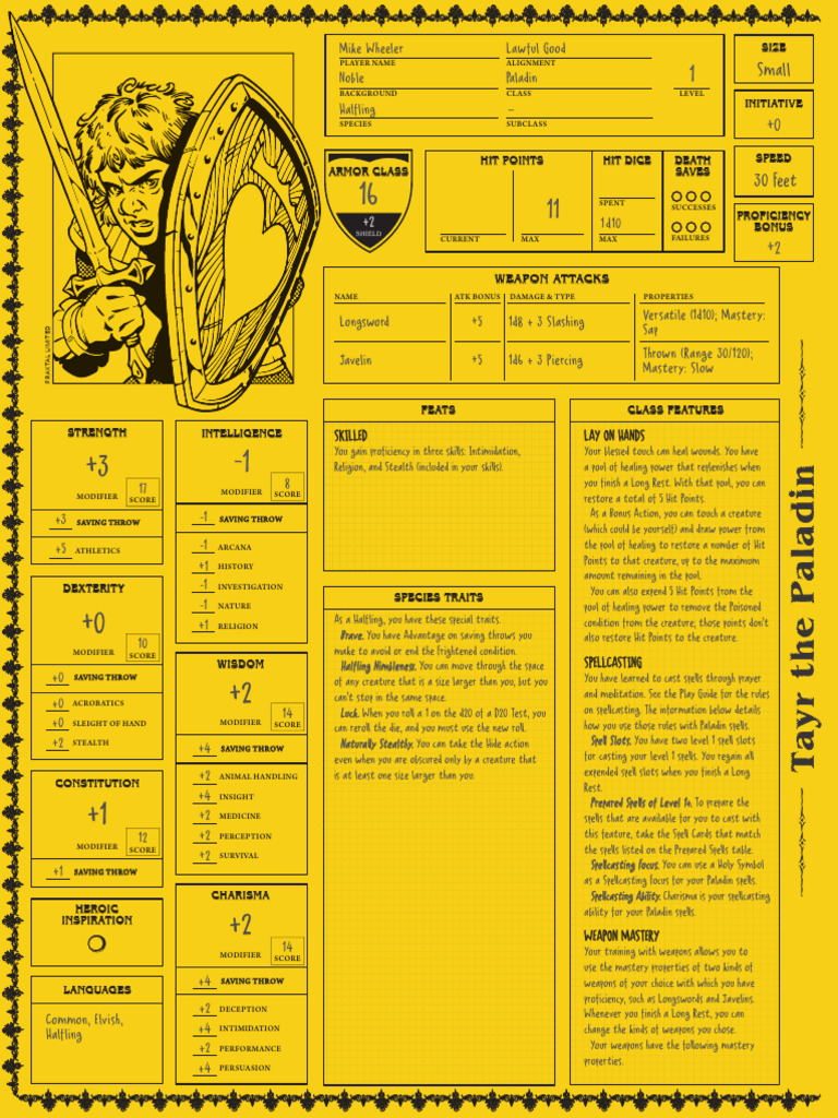 Paladin Character Sheet Overview | PDF