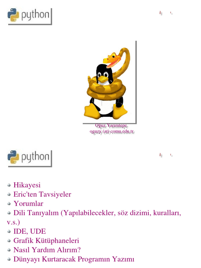 Python Ile Programlama ( PDFDrive ) | PDF