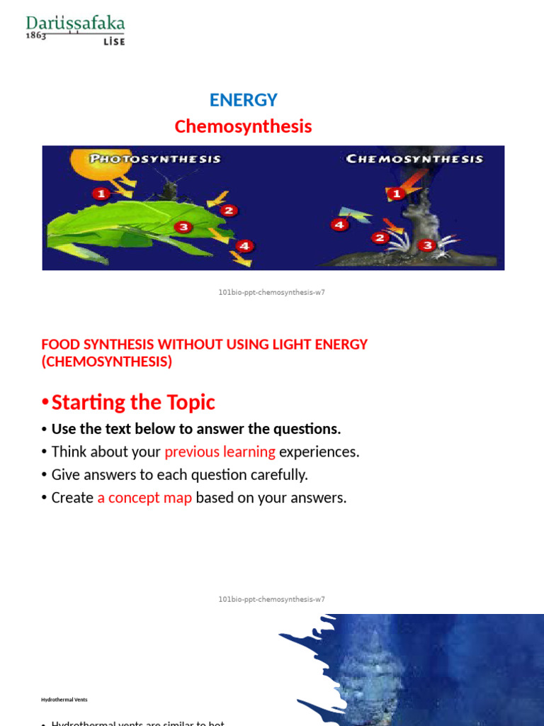Chemosynthesis and Hydrothermal Vents | PDF | Hydrothermal Vent | Earth ...