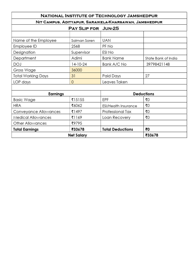 June 2025 Pay Slip for Salman Soren | PDF