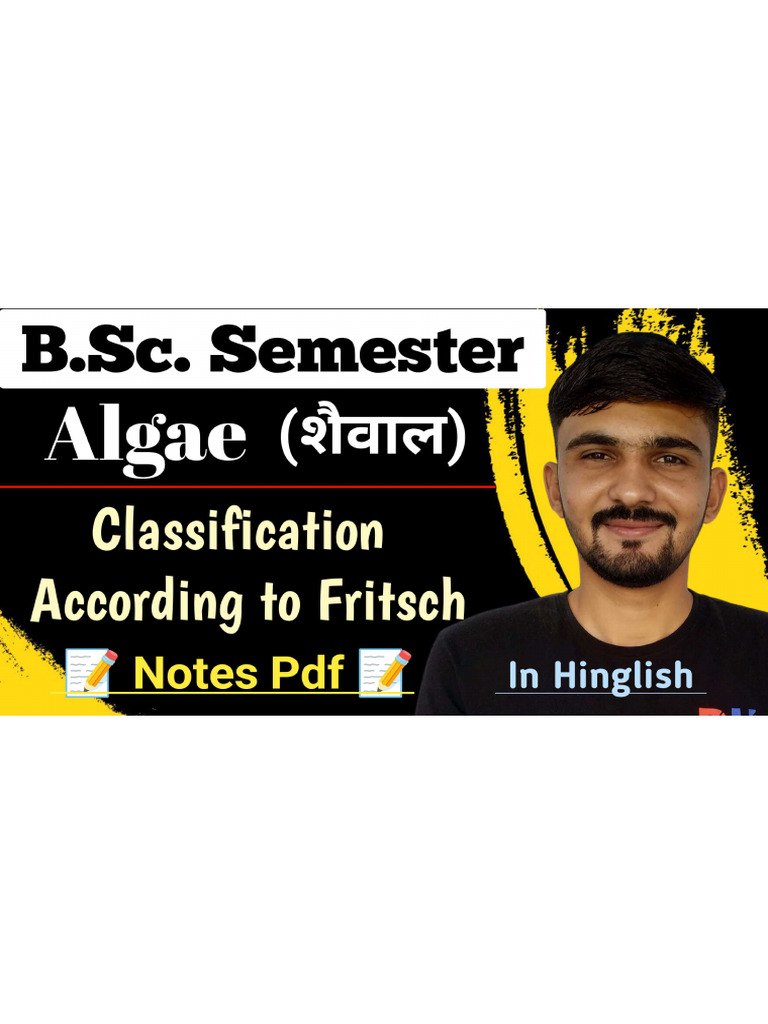 Fritsch Algae Classification Notes by Dadhich Sir | PDF