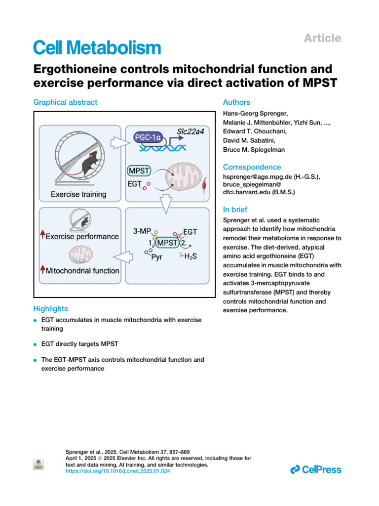 Ergothioneine Enhances Mitochondrial Function | PDF | Mitochondrion ...