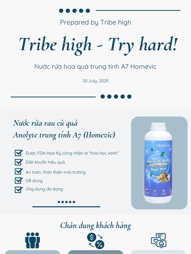 Prasentation Pitching Tribe 2 | PDF