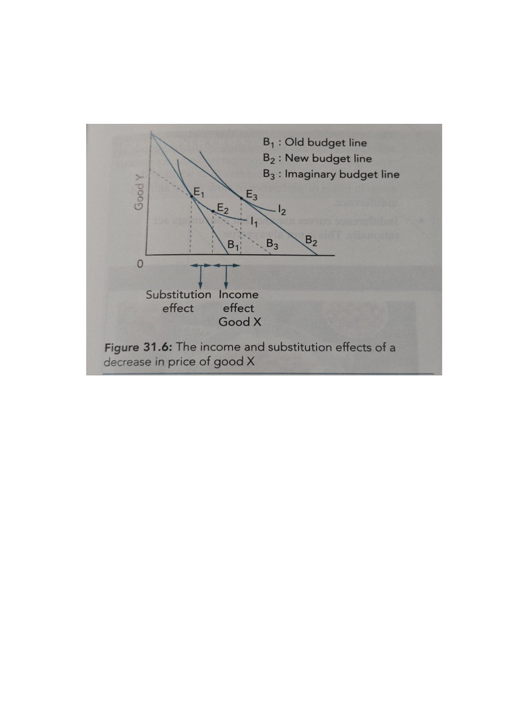 Economics Income Substitution Effect Price Decrease | PDF