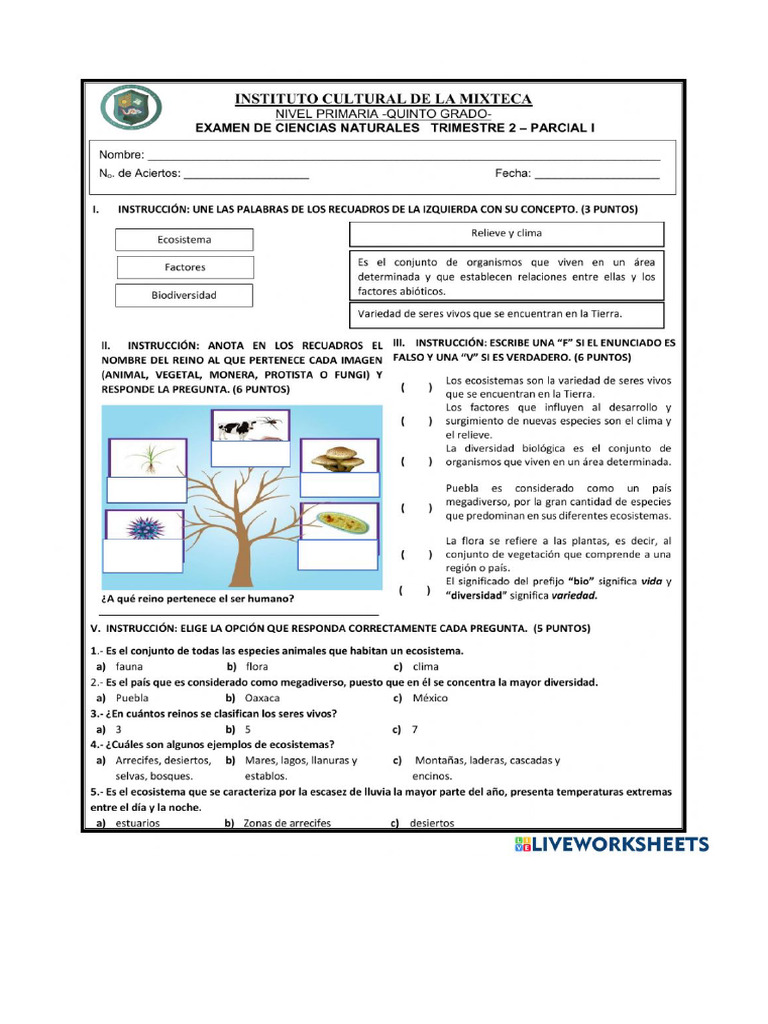 Bio Divers i Dad | PDF