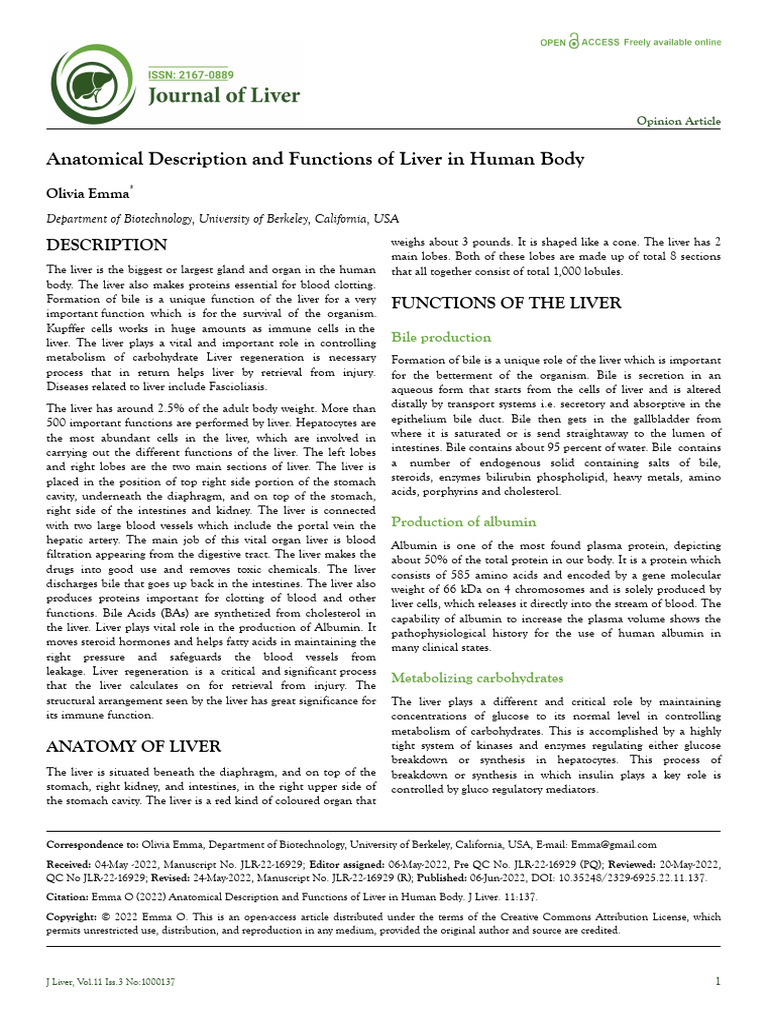 Functions and Anatomy of the Human Liver | PDF | Liver | Bile